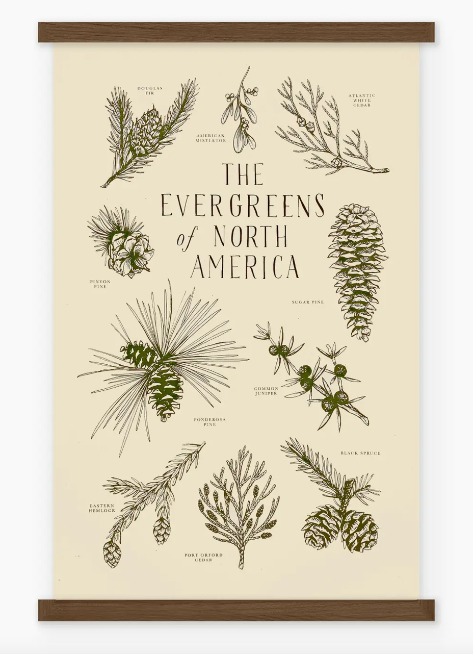Evergreens Guide Print Drift Mercantile Co