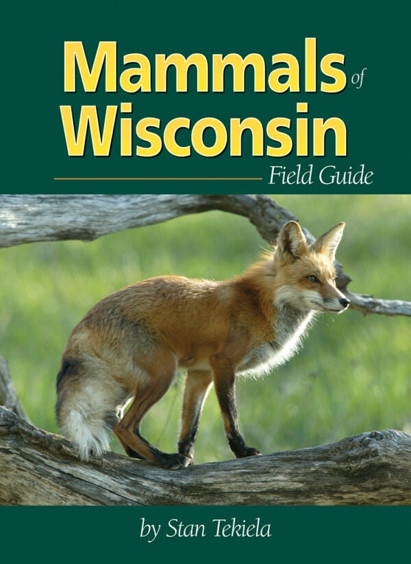 Mammals of Wisconsin Field Guide | Drift Mercantile Co.